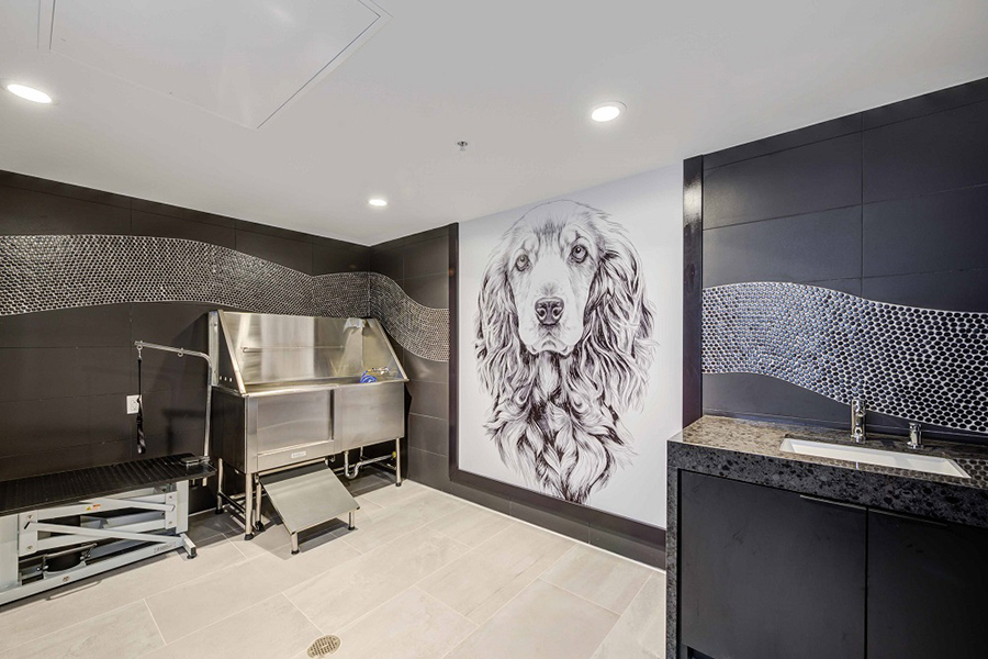 IMT 6500 | Virtually Tour Our Pet Friendly Apartment Community