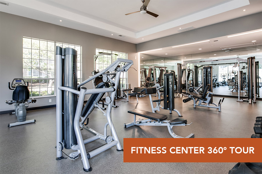 IMT Stoneleigh at Deerfield | Explore Pet Friendly Apartments For Rent