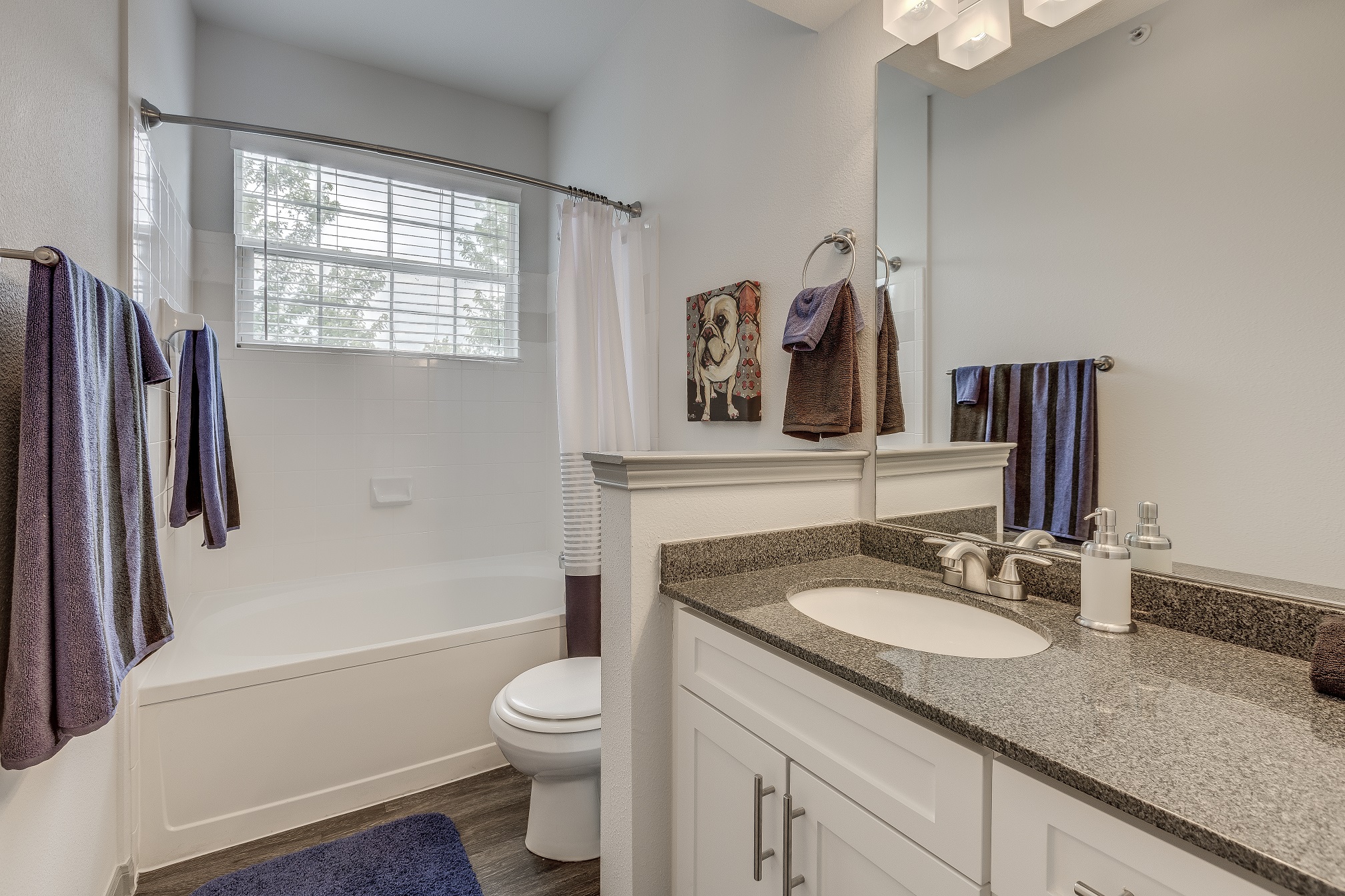 IMT Lowry | One, Two & Three Bedroom Apartments For Rent In Denver