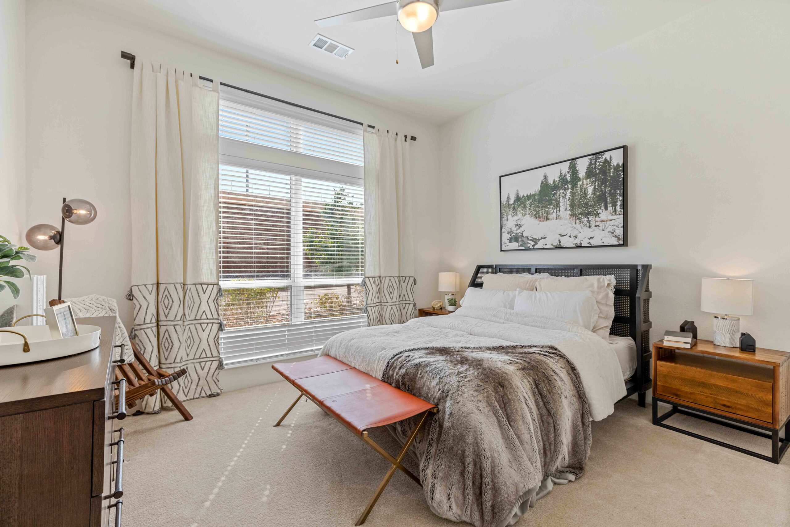 IMT at RidgeGate | Explore Our Pet Friendly Apartment Community